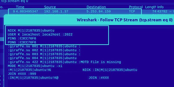 GoBruteforcer: New Golang-Based Malware Breaches Web Servers Via Brute ... GoBruteforcer: New Golang-Based Malware Breaches Web Servers Via Brute ...