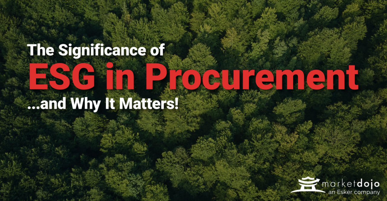 ESG in Procurement....and why it matters! ESG in Procurement....and why it matters!