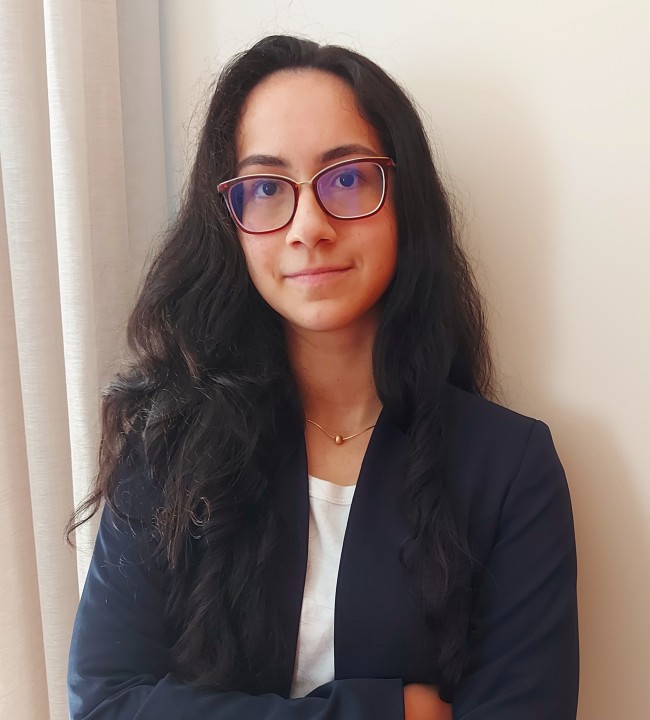 Navigating cross-border disputes: UNIDROIT’S project on effective ... Navigating cross-border disputes: UNIDROIT’S project on effective ...