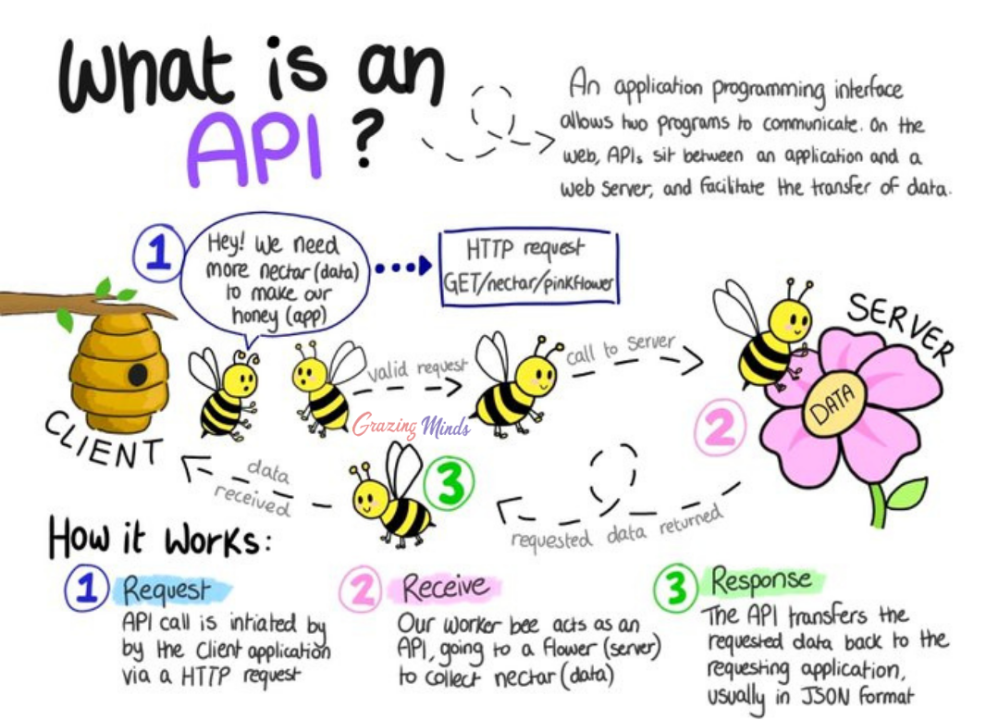 Understanding API - In simple terms Understanding API - In simple terms
