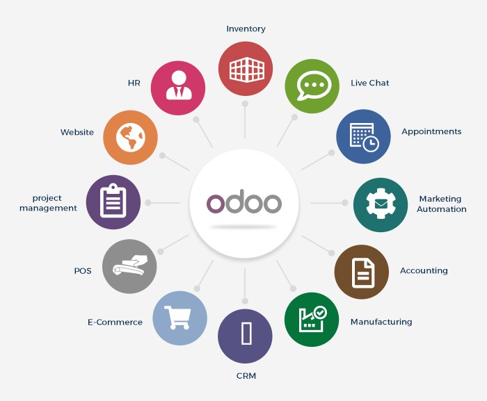 Why Odoo ERP Is Important? Why Odoo ERP Is Important?