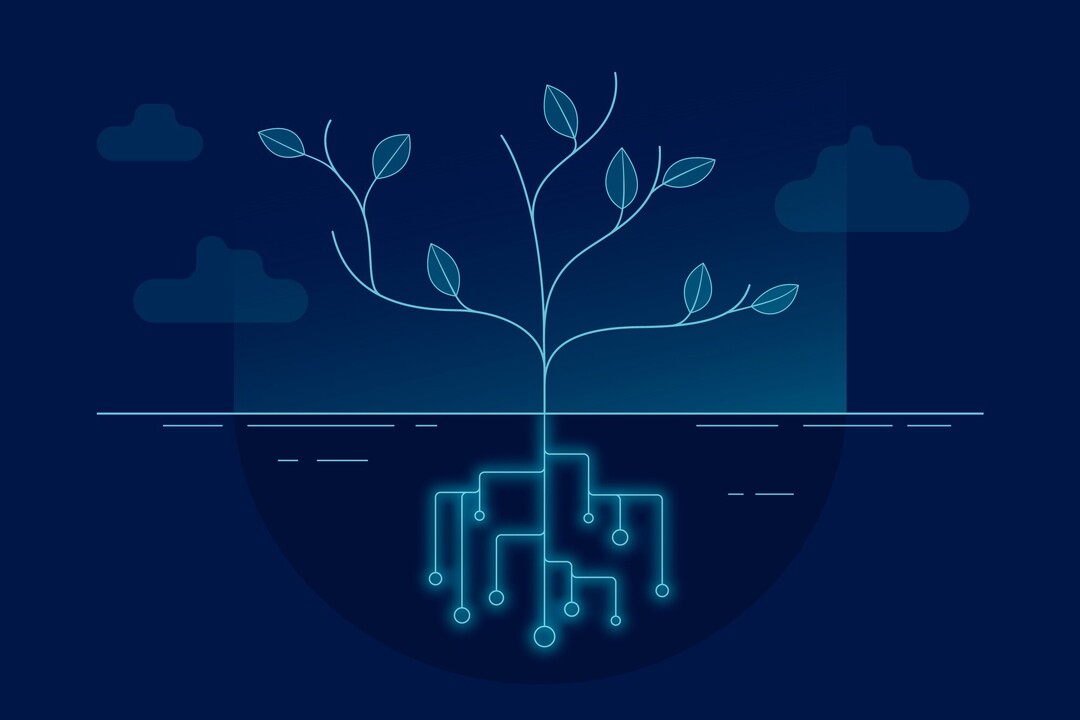 Digital Resonance:Decoding the Environmental Impact of the Digital Economy Digital Resonance:Decoding the Environmental Impact of the Digital Economy