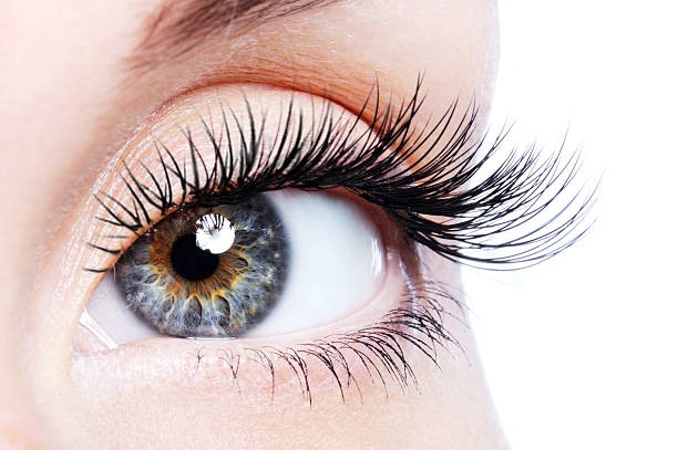 Unleashing Glamour: Exploring the Booming False Eyelashes Market Unleashing Glamour: Exploring the Booming False Eyelashes Market