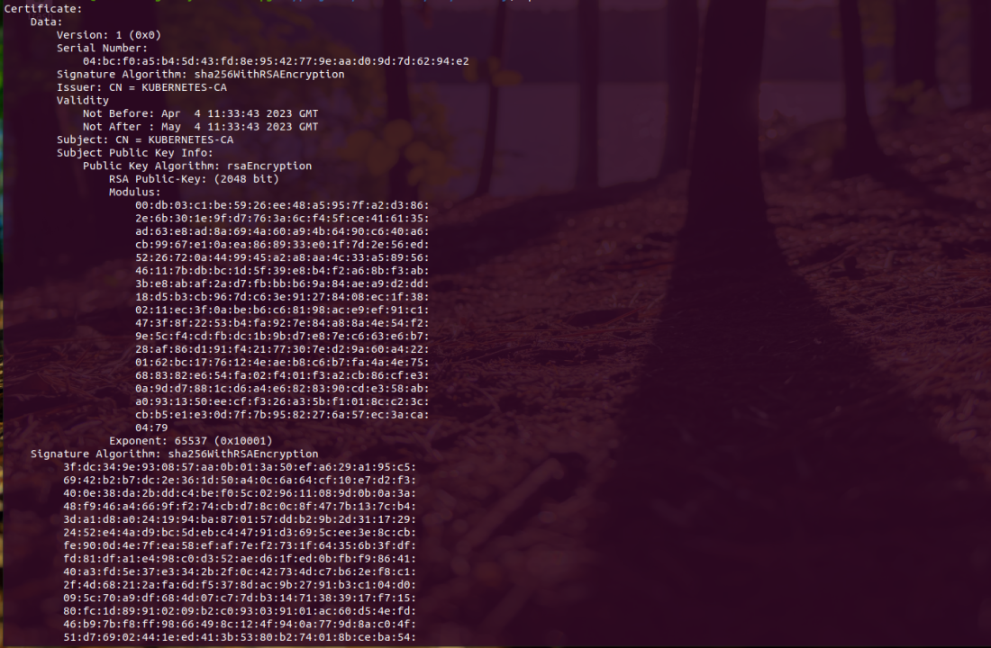 Euclid to RSA - Asymmetric Encryption Euclid to RSA - Asymmetric Encryption