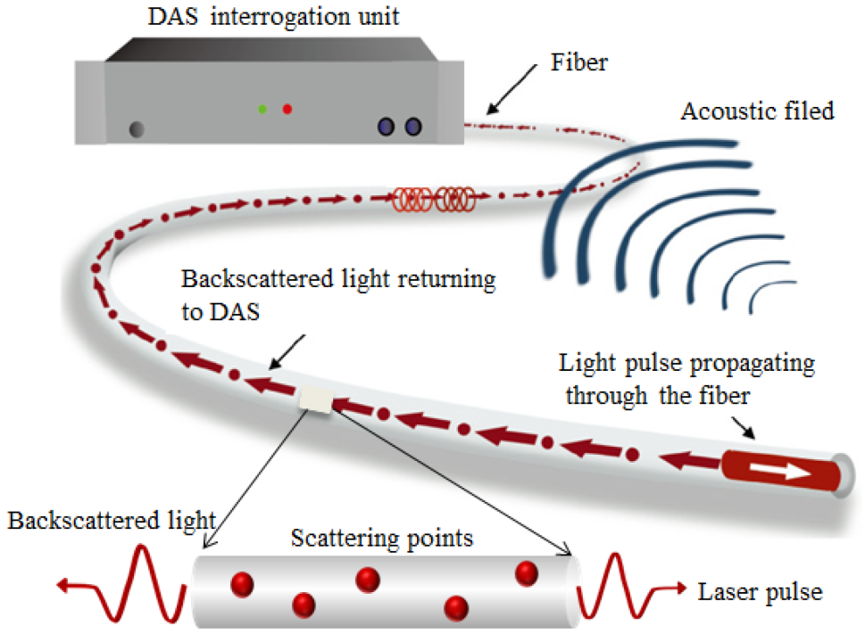Unraveling the Future: Navigating the Distributed Fiber Optic Sensor Market Unraveling the Future: Navigating the Distributed Fiber Optic Sensor Market