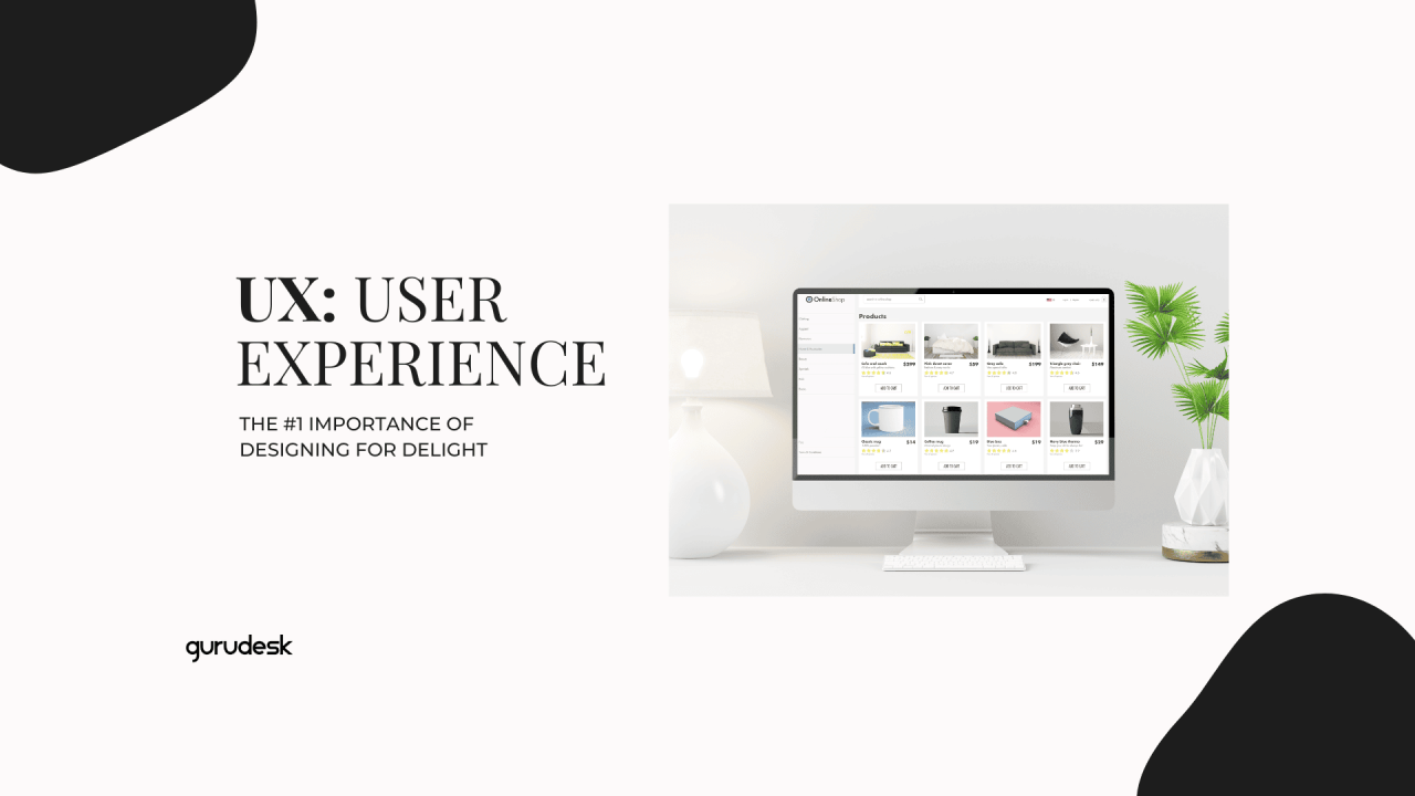 User Experience: The #1 Importance of Designing for Delight User Experience: The #1 Importance of Designing for Delight