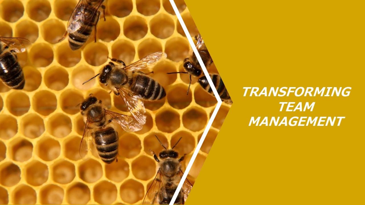 Harnessing the Power of the Hive Mind: Transforming Team Management and ... Harnessing the Power of the Hive Mind: Transforming Team Management and ...