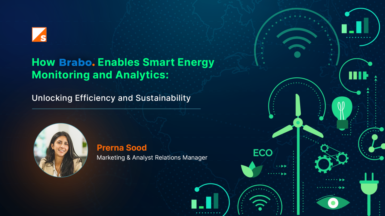 Brabo: The Data-Driven Solution to Energy Efficiency and Sustainability Brabo: The Data-Driven Solution to Energy Efficiency and Sustainability