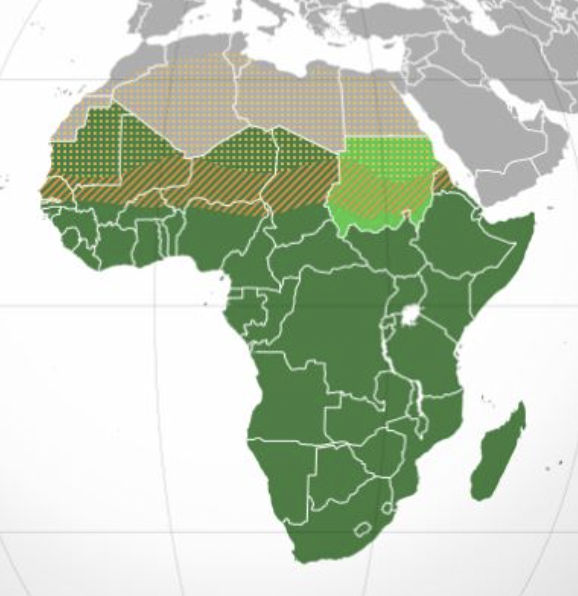 Navigating Challenges: Investment Landscape in North Africa Navigating Challenges: Investment Landscape in North Africa