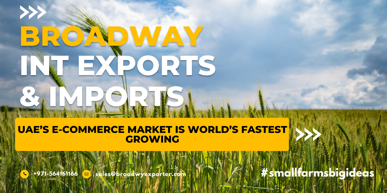 UAE’S E-COMMERCE MARKET IS WORLD’S FASTEST GROWING UAE’S E-COMMERCE MARKET IS WORLD’S FASTEST GROWING