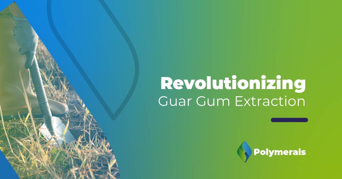 Revolutionizing Guar Gum extraction: A paradigm shift in precision and ... Revolutionizing Guar Gum extraction: A paradigm shift in precision and ...