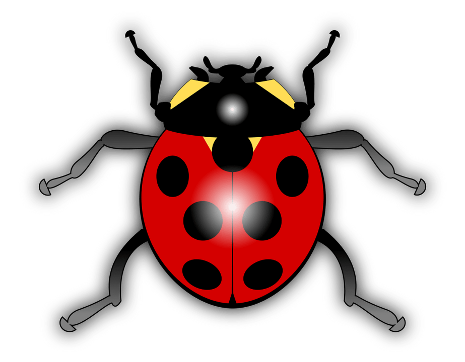 π¨π Bug Discovery & Fix Just After a Job Interview! π¨π π¨π Bug Discovery & Fix Just After a Job Interview! π¨π
