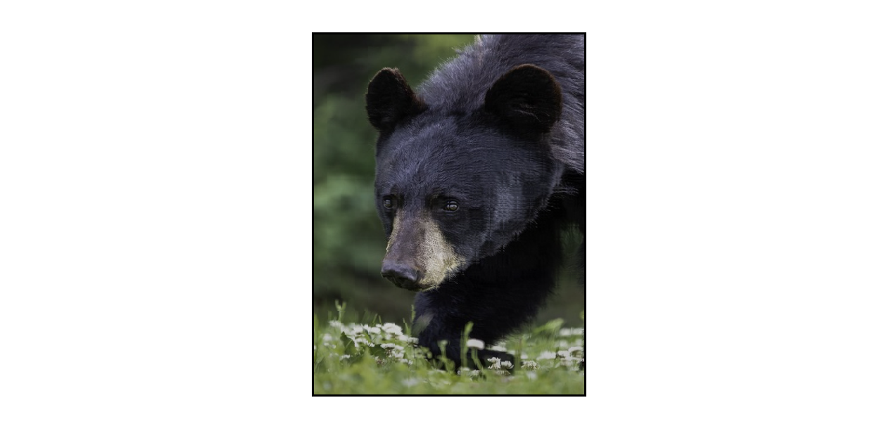 Image Transition(2) Using HTML, CSS & JS Image Transition(2) Using HTML, CSS & JS