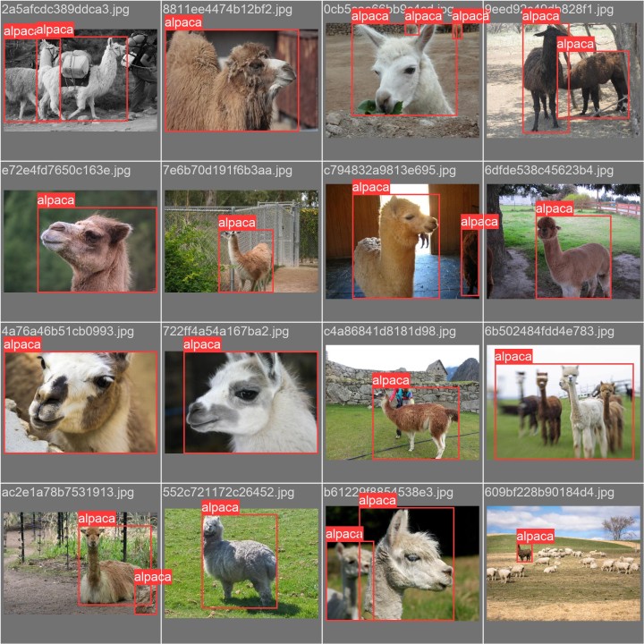 Train Your Own Object Detector with YOLOv8: A Step-by-Step Guide (Part 1) Train Your Own Object Detector with YOLOv8: A Step-by-Step Guide (Part 1)