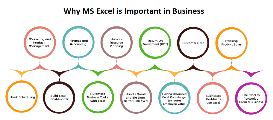 The Importance of Excel in Business The Importance of Excel in Business