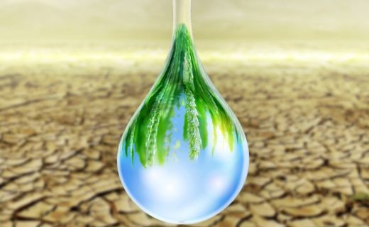 Unlocking the Potential of Smart Cities: Transforming Water Management ... Unlocking the Potential of Smart Cities: Transforming Water Management ...