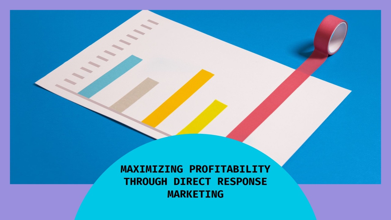 Maximizing Profitability Through Direct Response Marketing: A Blueprint ... Maximizing Profitability Through Direct Response Marketing: A Blueprint ...