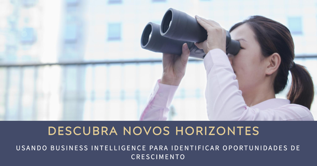 Desvendando o Poder do Business Intelligence para Pequenas Empresas ... Desvendando o Poder do Business Intelligence para Pequenas Empresas ...
