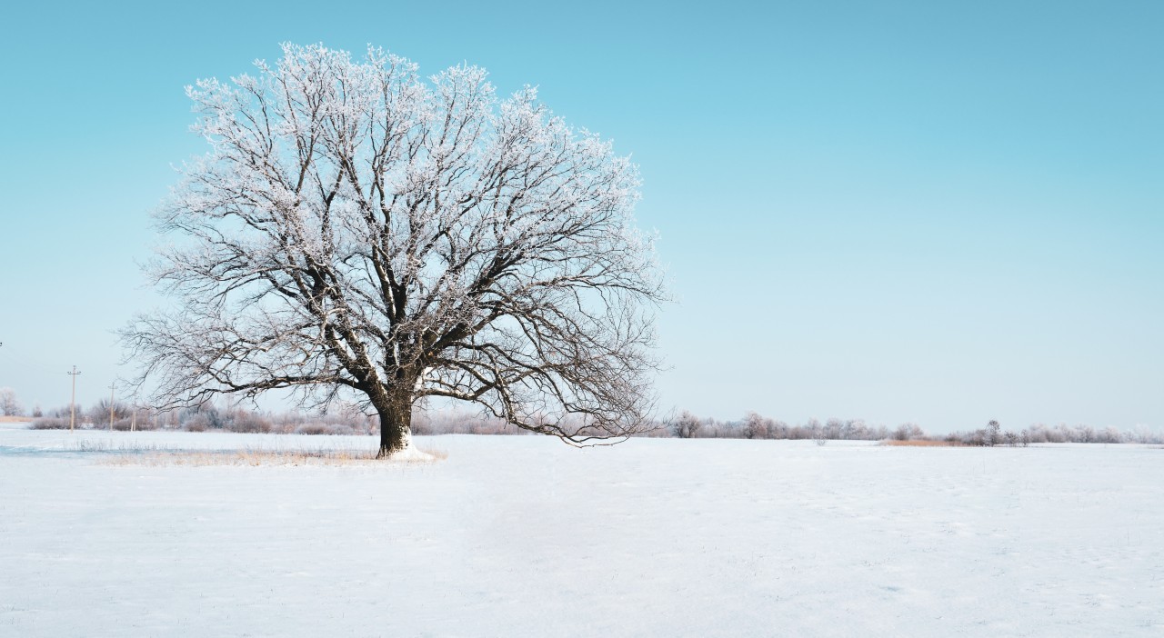 Honey it's getting cold out here - A Customer Success Love Letter Honey it's getting cold out here - A Customer Success Love Letter