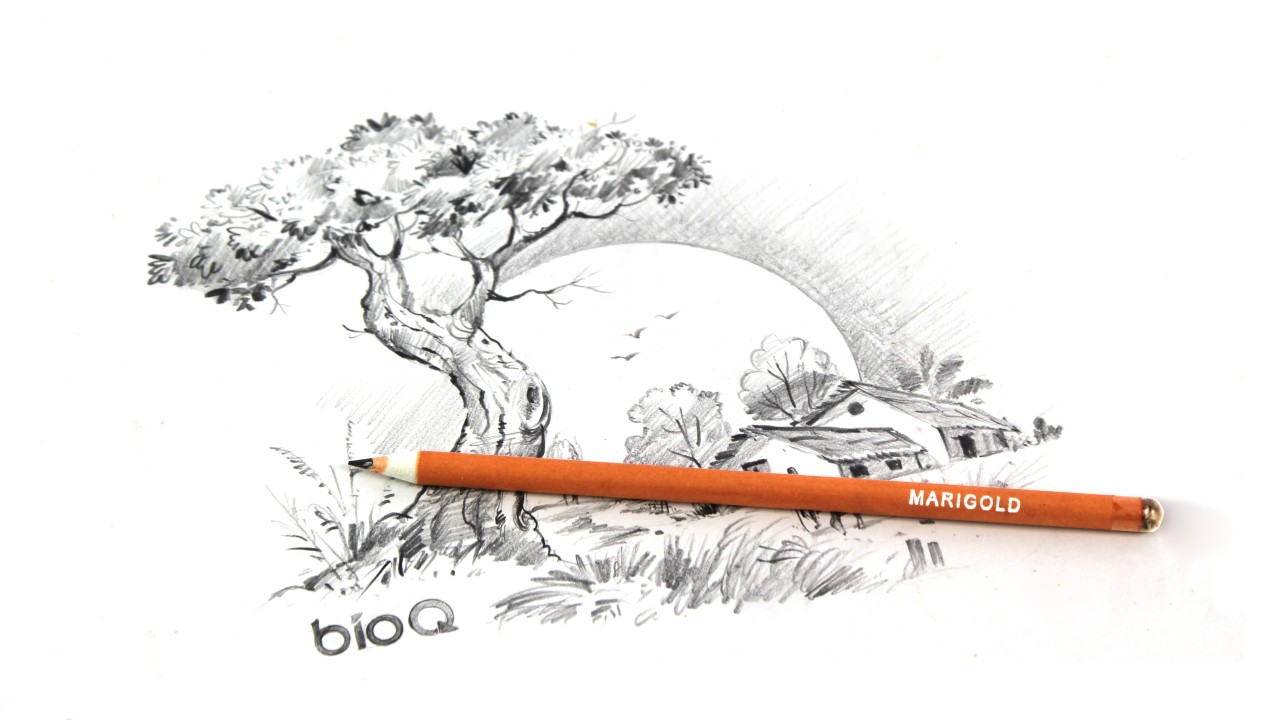 What if Your Next Sketch Could Save a Tree? Unveiling the Power of ... What if Your Next Sketch Could Save a Tree? Unveiling the Power of ...