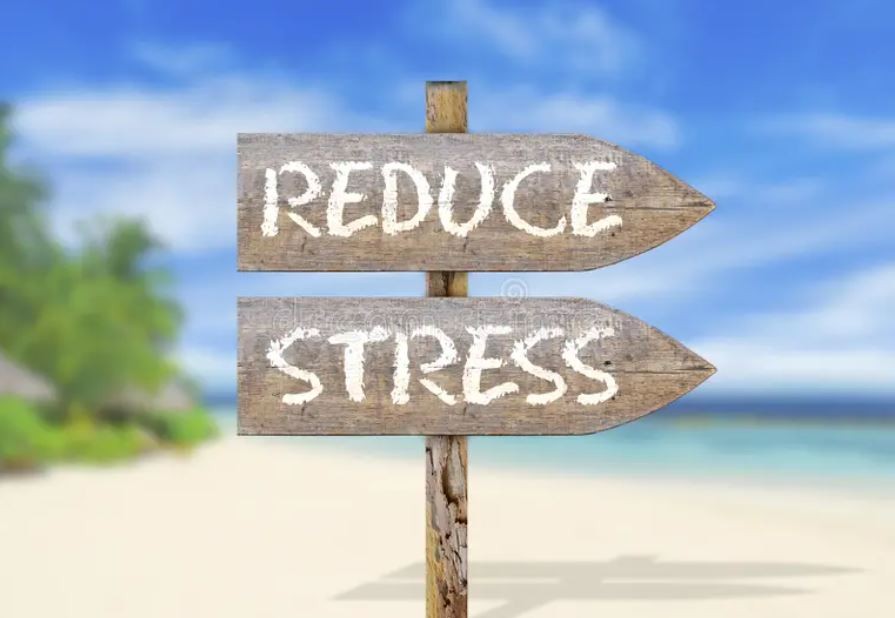The Ultimate Guide to Reducing Stress The Ultimate Guide to Reducing Stress