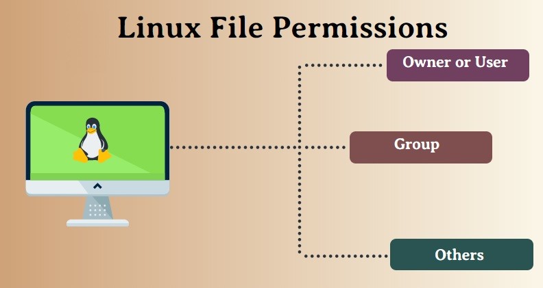 File Permissions & Ownership in Linux: A Deep Dive ๐ File Permissions & Ownership in Linux: A Deep Dive ๐