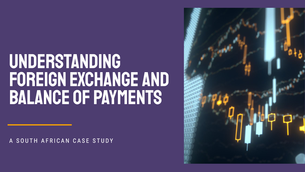 Navigating South Africa's Foreign Exchange and Balance of Payments Navigating South Africa's Foreign Exchange and Balance of Payments