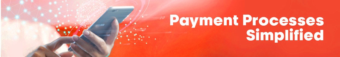 Introducing VPay API and Payment Gateway Introducing VPay API and Payment Gateway
