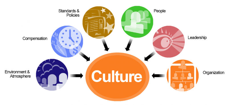 Workplace & Organizational Culture Workplace & Organizational Culture