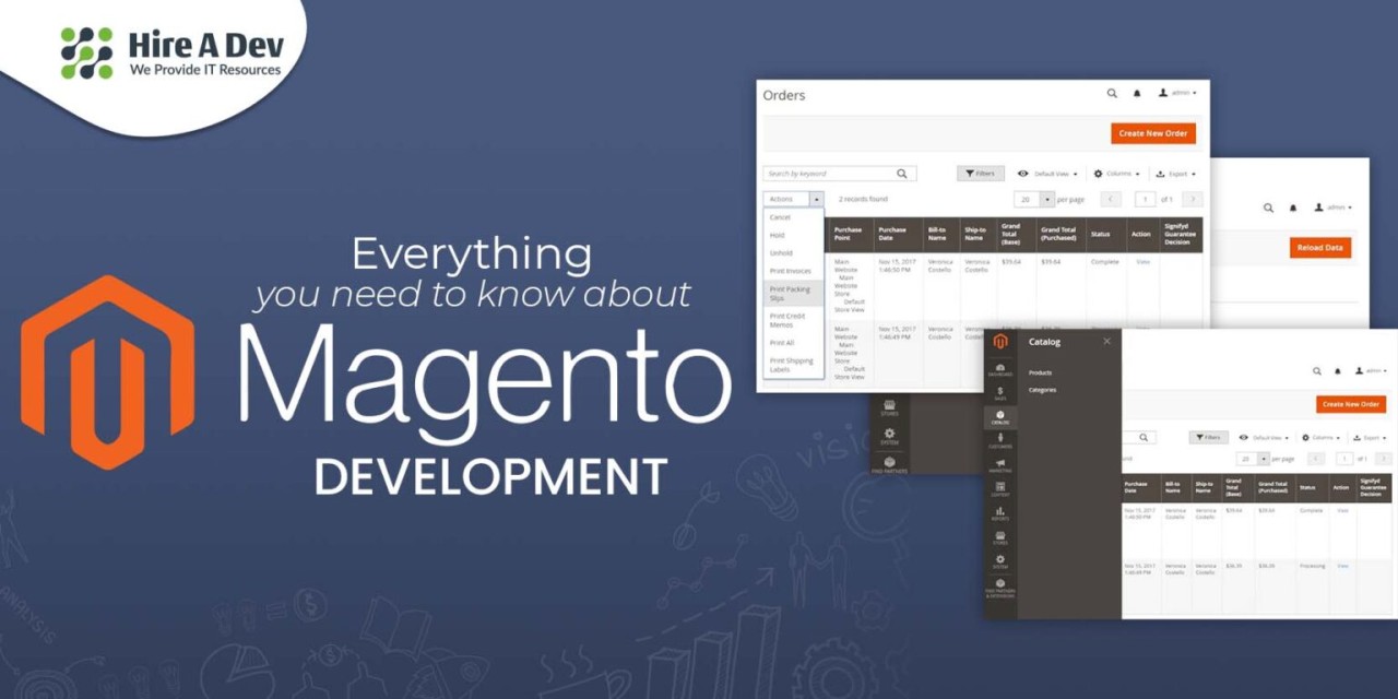 Everything you need to know about Magento Development Everything you need to know about Magento Development