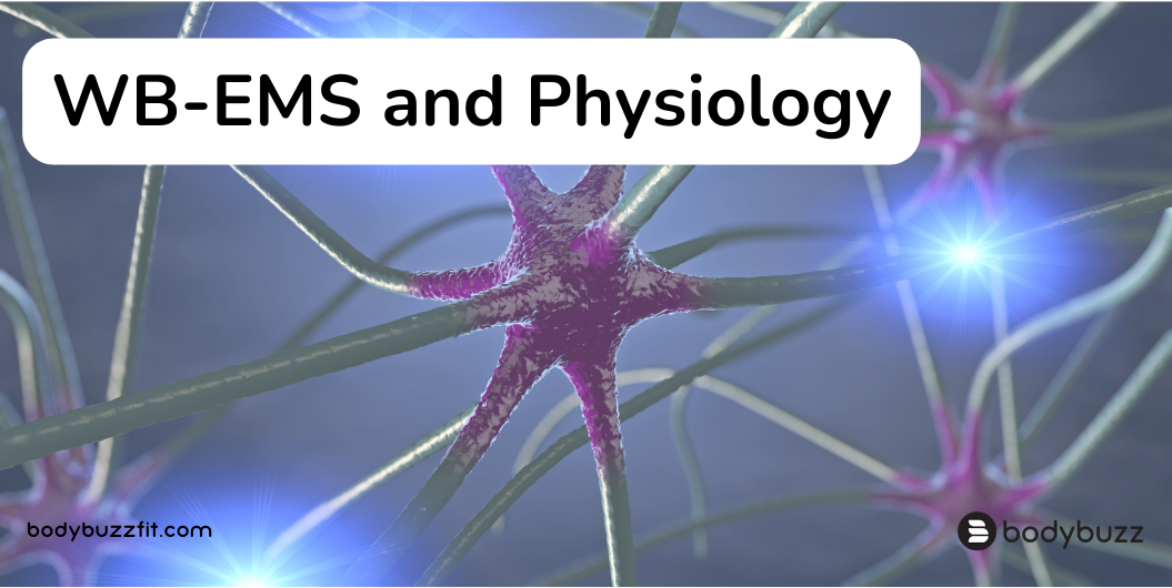 WB-EMS and Physiology WB-EMS and Physiology