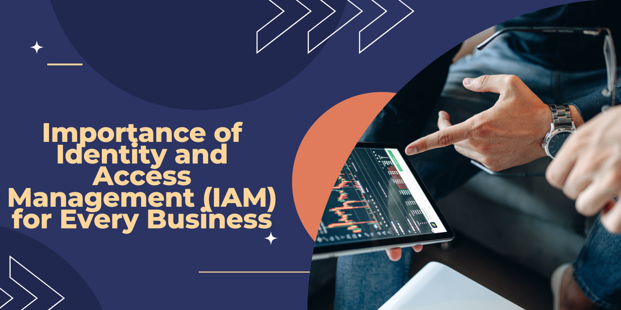Importance Identity Access Management (IAM) in Todays Business World Importance Identity Access Management (IAM) in Todays Business World