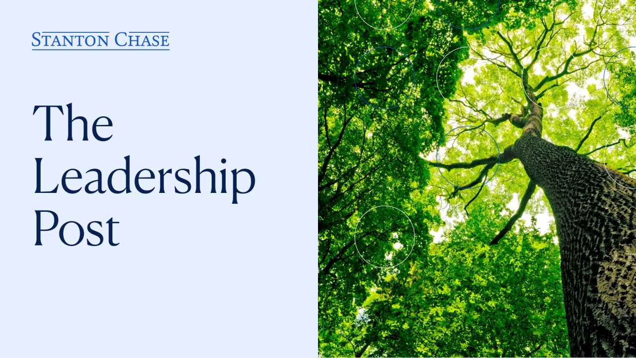 6 Signs Your Organization Needs a Chief Growth Officer 6 Signs Your Organization Needs a Chief Growth Officer
