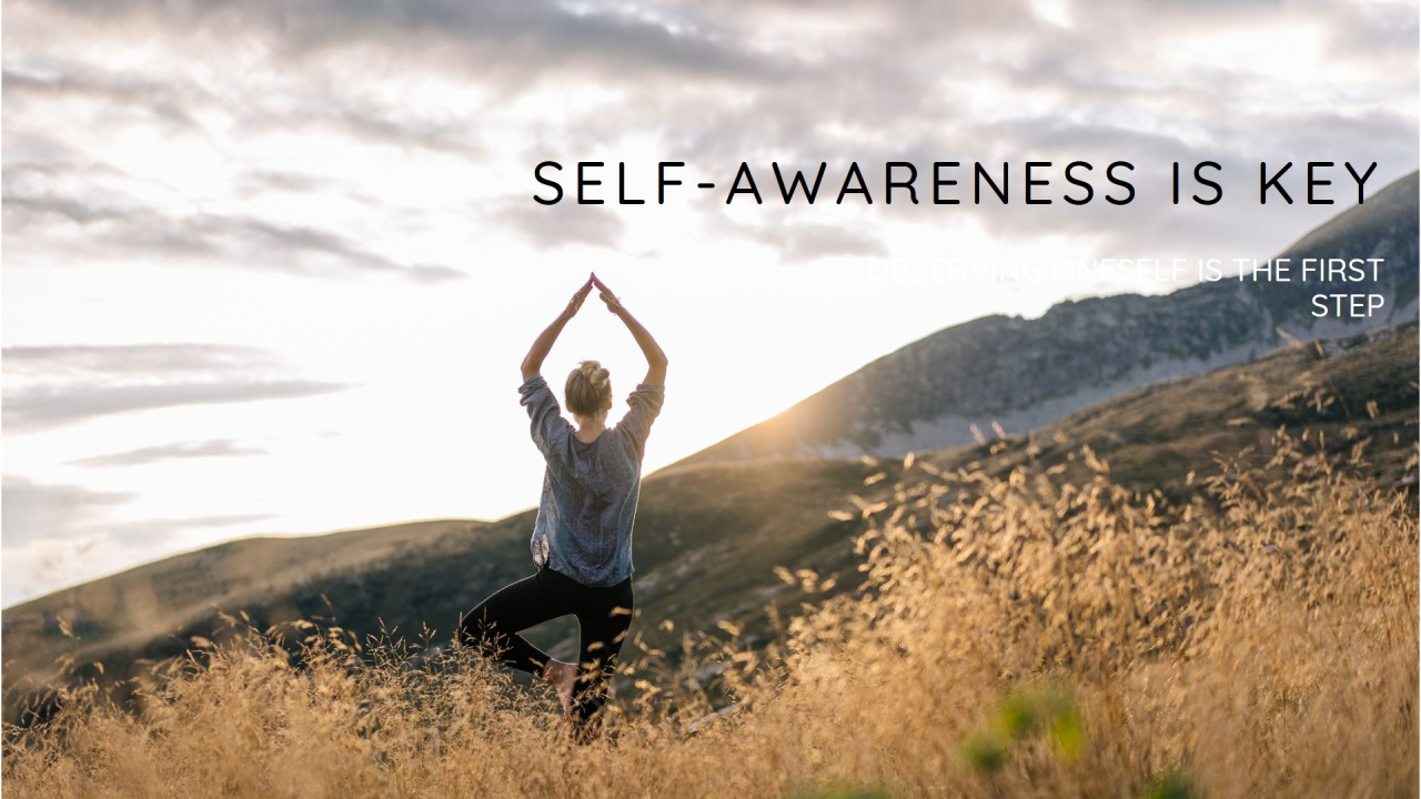 Self Awareness is Key Self Awareness is Key