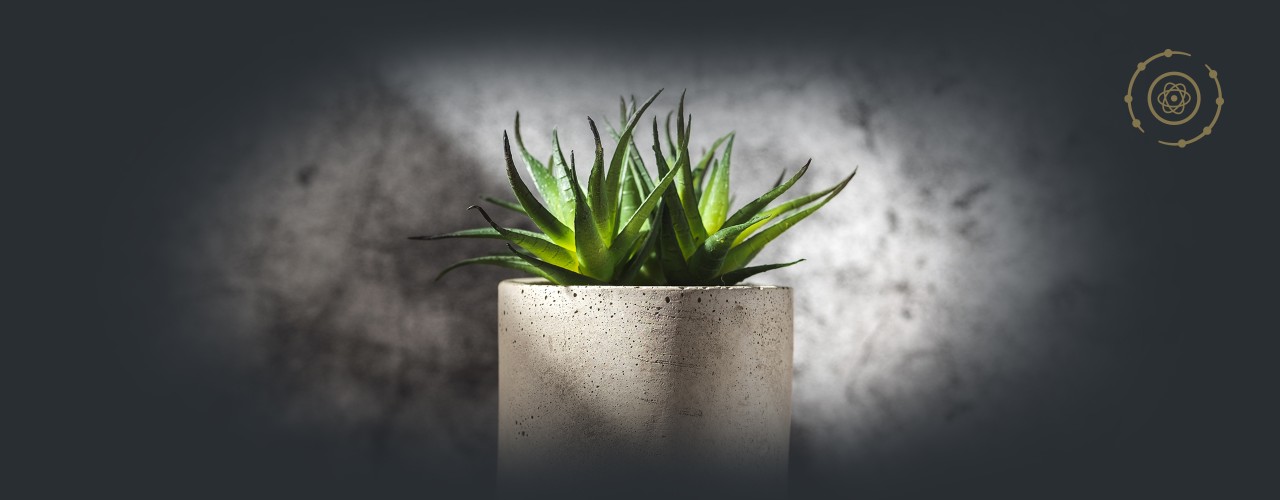 HOW CAN “LIVING CONCRETE” (AND OTHER FUTURE TECH) BENEFIT MARKETERS? HOW CAN “LIVING CONCRETE” (AND OTHER FUTURE TECH) BENEFIT MARKETERS?