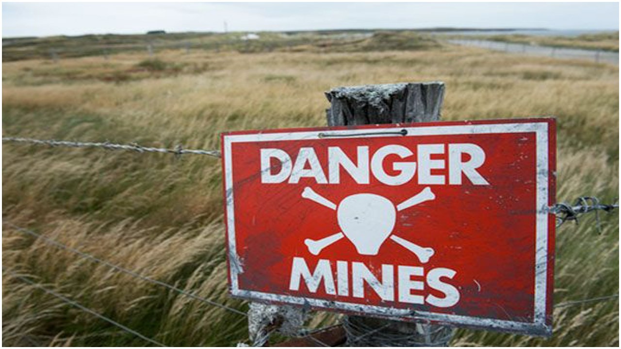 Navigating the Minefield of Modern Fraud: Strategies for Professionals 🛡️💳 Navigating the Minefield of Modern Fraud: Strategies for Professionals 🛡️💳