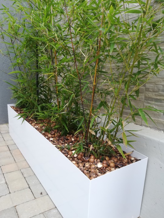 2023 Landscaping trends 2023 Landscaping trends