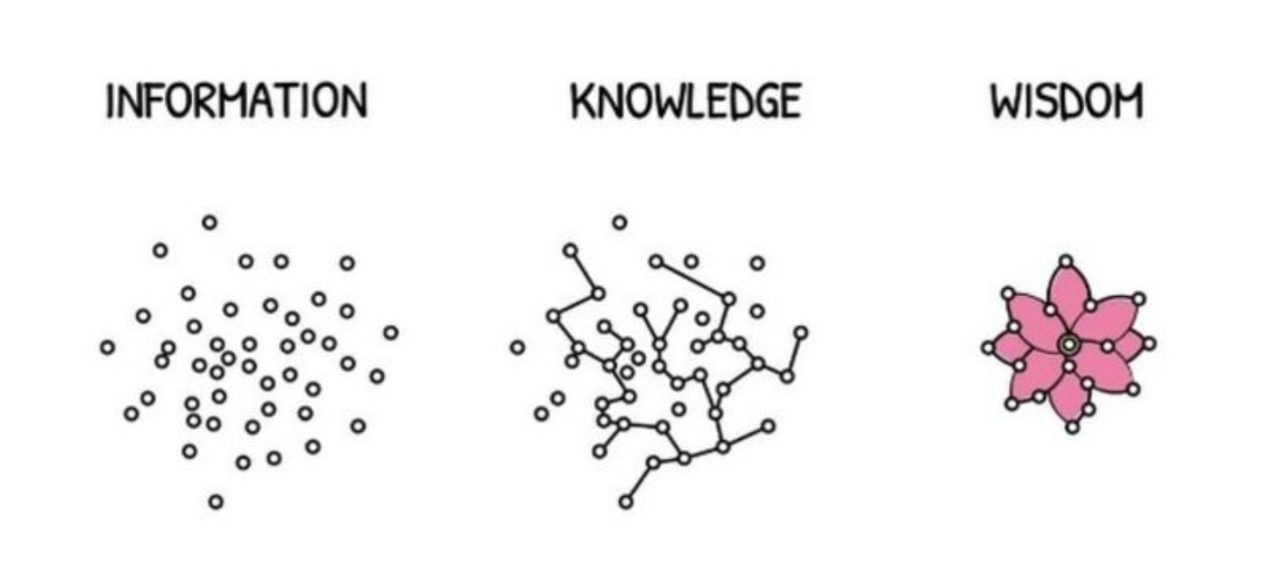 Navigating the Spectrum: Unraveling the Difference Between Information ... Navigating the Spectrum: Unraveling the Difference Between Information ...