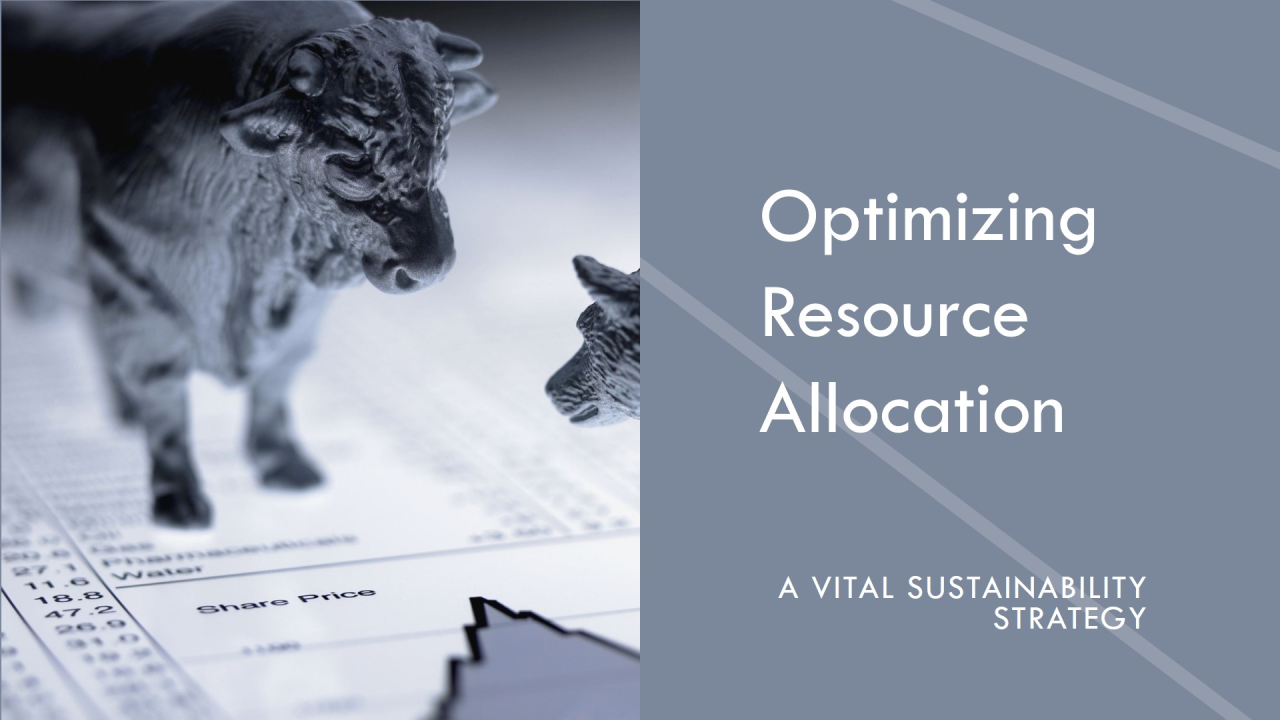 Optimizing Resource Allocation: A Vital Sustainability Strategy Optimizing Resource Allocation: A Vital Sustainability Strategy