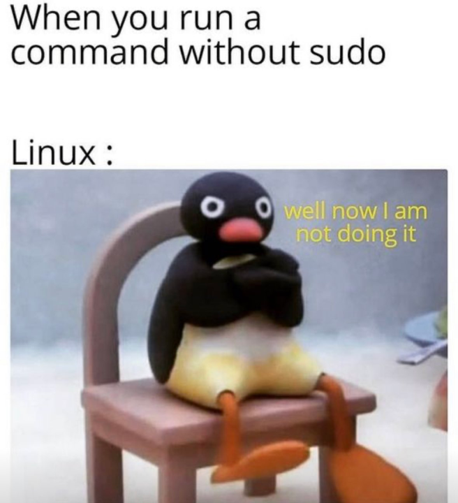 Mastering the Sudo Command: Empowering User Privileges and ... Mastering the Sudo Command: Empowering User Privileges and ...