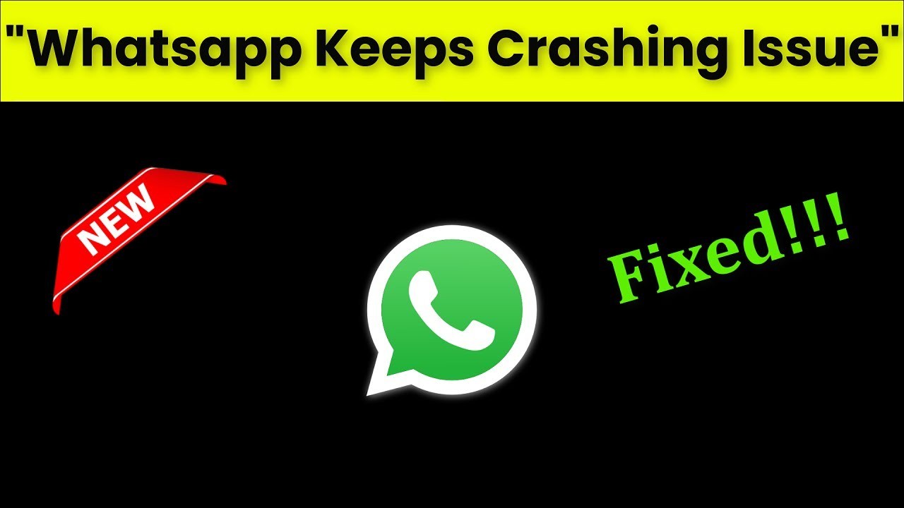 Fix “WhatsApp Keeps Crashing” On Android Fix “WhatsApp Keeps Crashing” On Android