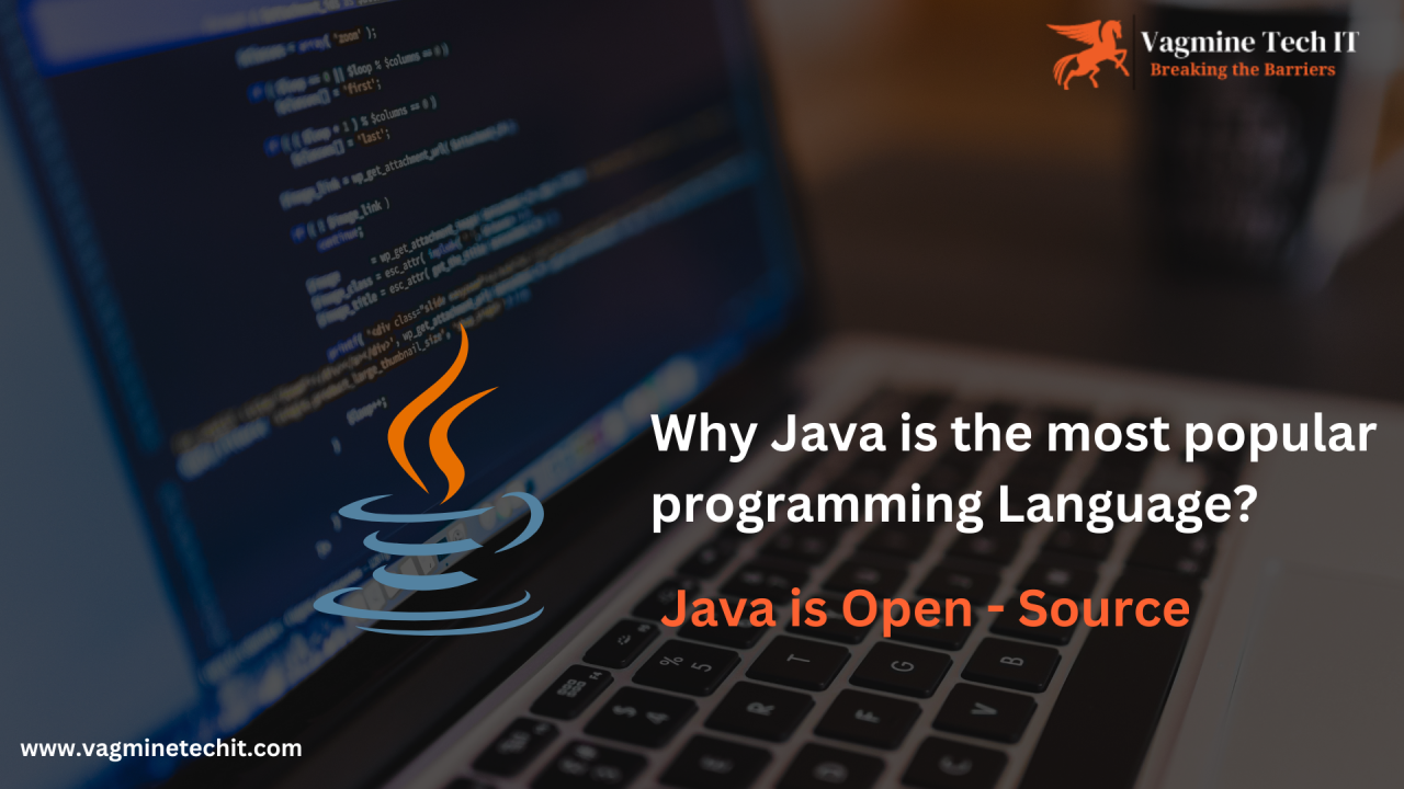 Why Is Java Programming Language So Popular? Why Is Java Programming Language So Popular?