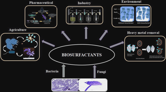 Green Innovation: Biosurfactants Driving Market Growth Green Innovation: Biosurfactants Driving Market Growth