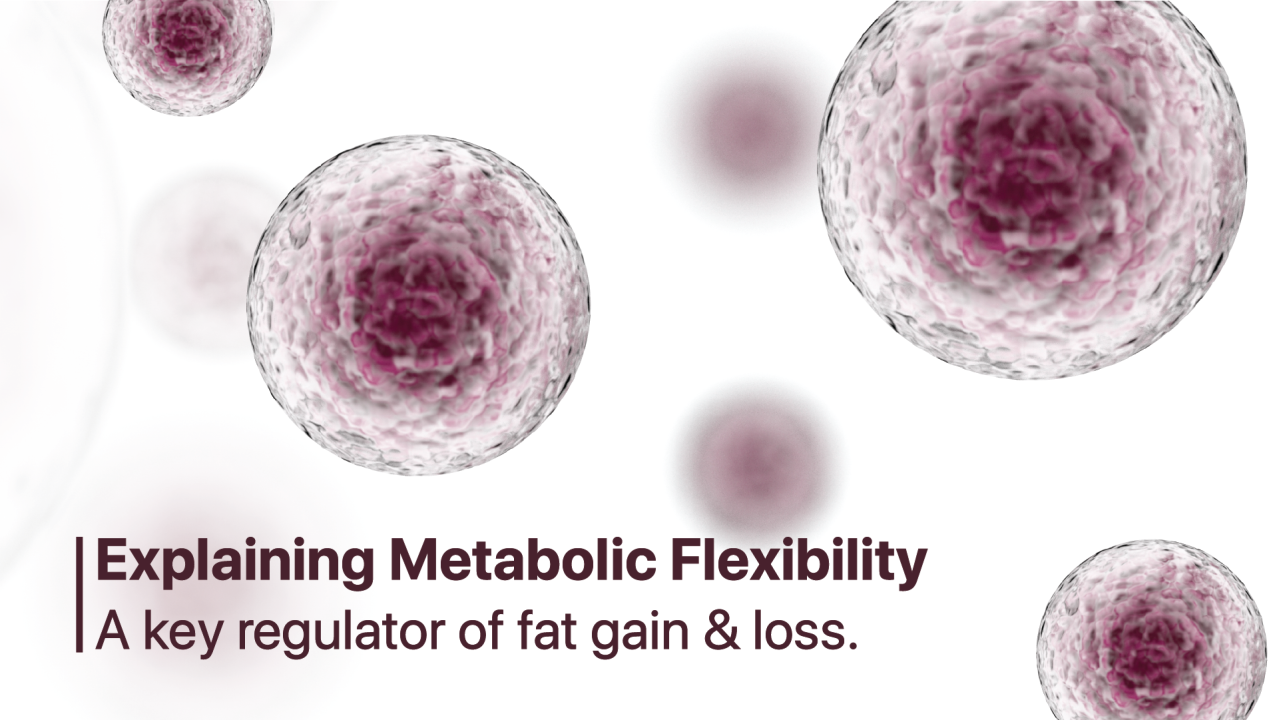 Metabolic Flexibility: Explaining why some gain weight more easily than ... Metabolic Flexibility: Explaining why some gain weight more easily than ...