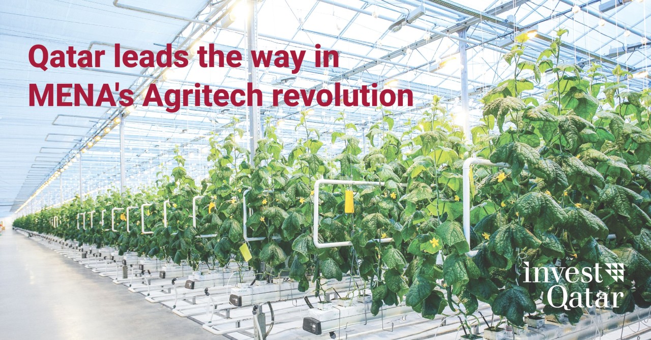 Qatar leads the way in MENA's Agritech revolution Qatar leads the way in MENA's Agritech revolution