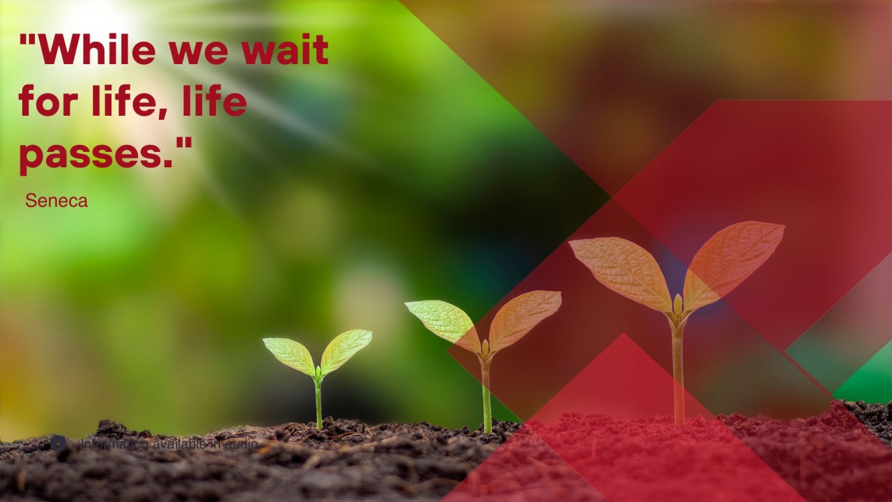 Don't Let Life Happen to You Don't Let Life Happen to You