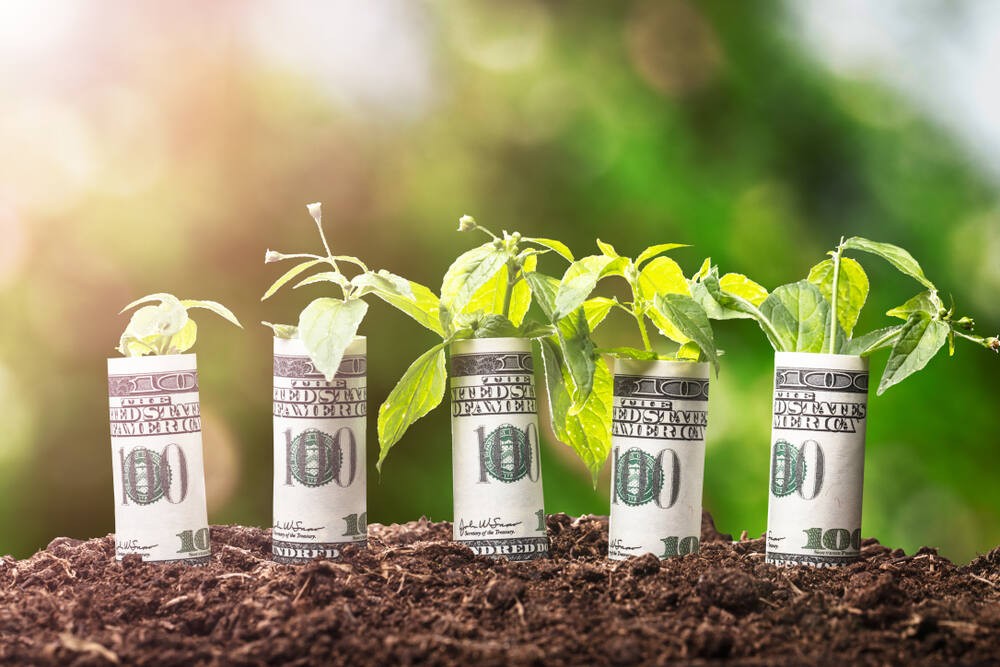 Why CFOs should take the lead in ESG and sustainability Why CFOs should take the lead in ESG and sustainability