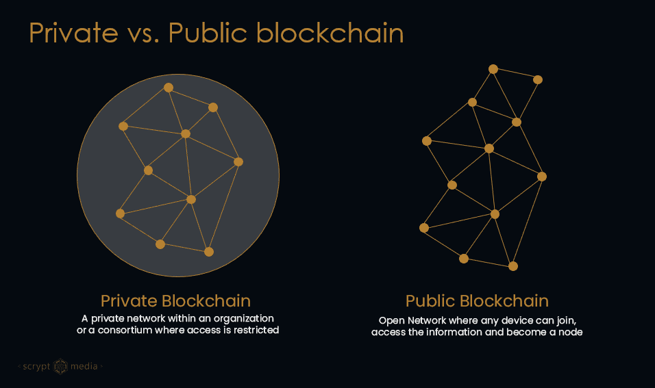 Decoding the Battle between Blockchain: Public vs Private Showdown! Decoding the Battle between Blockchain: Public vs Private Showdown!