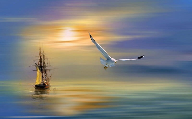 Exploring New Horizons Exploring New Horizons
