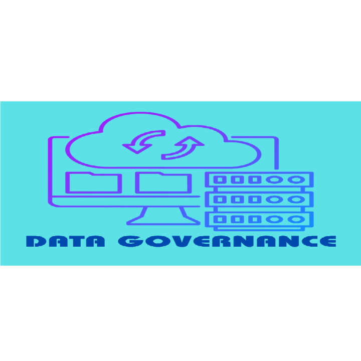 Non-invasive Data Governance Non-invasive Data Governance